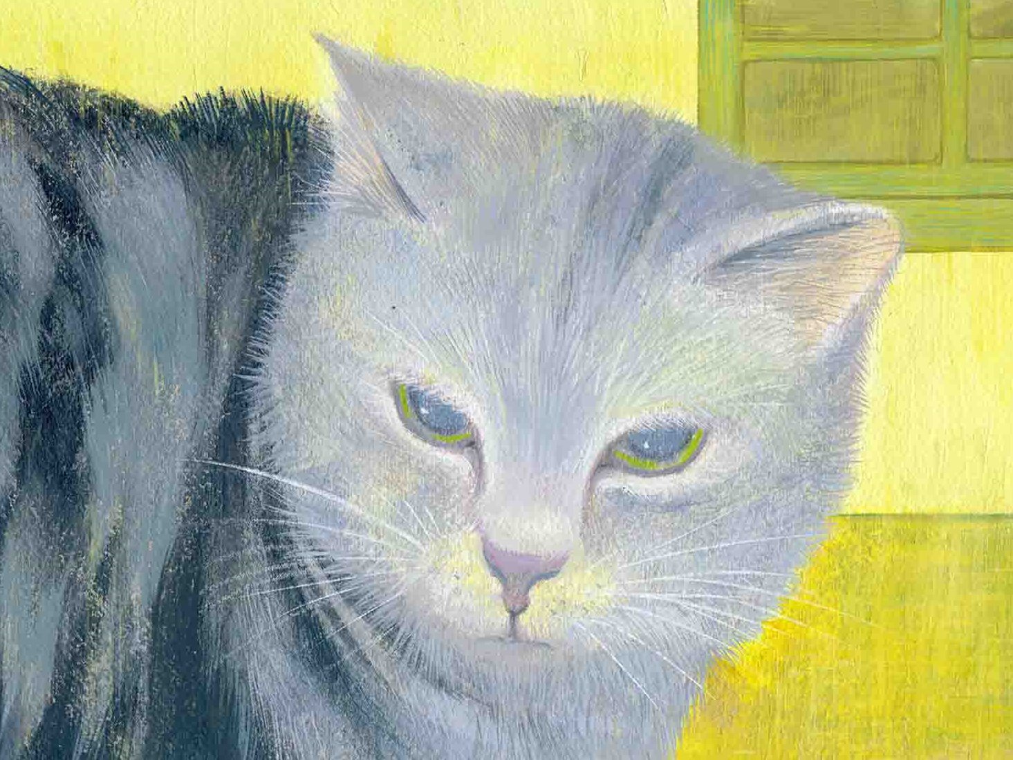 猫咪系列插画习作及创作_橙玉CY-站酷ZCOOL