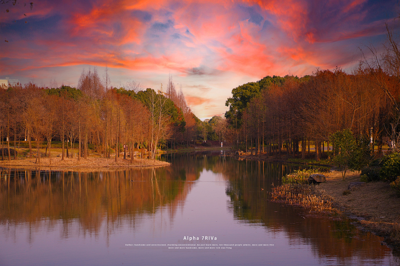 In the autumn_小昆汀-站酷ZCOOL