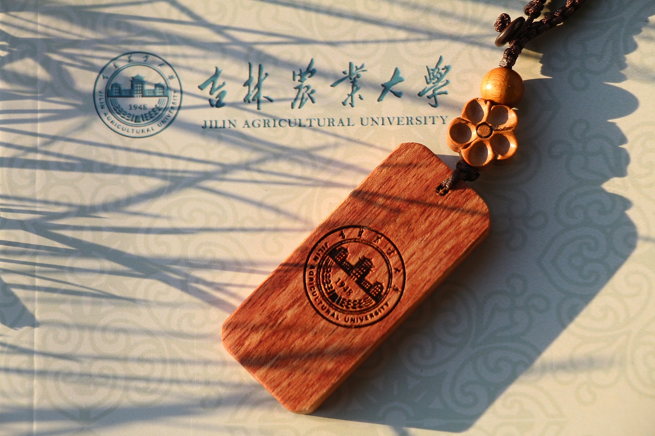 校园文创用品设计_Ctrl小TAN-站酷ZCOOL