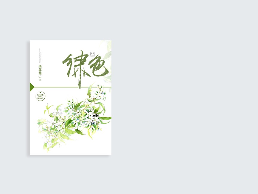 网络小说封面设计整理清泠的橘子洲 站酷zcool 