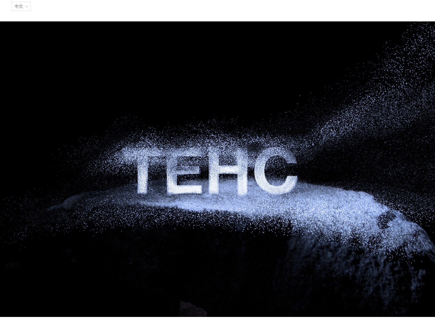 TEHC官网_雅黑品牌-站酷ZCOOL