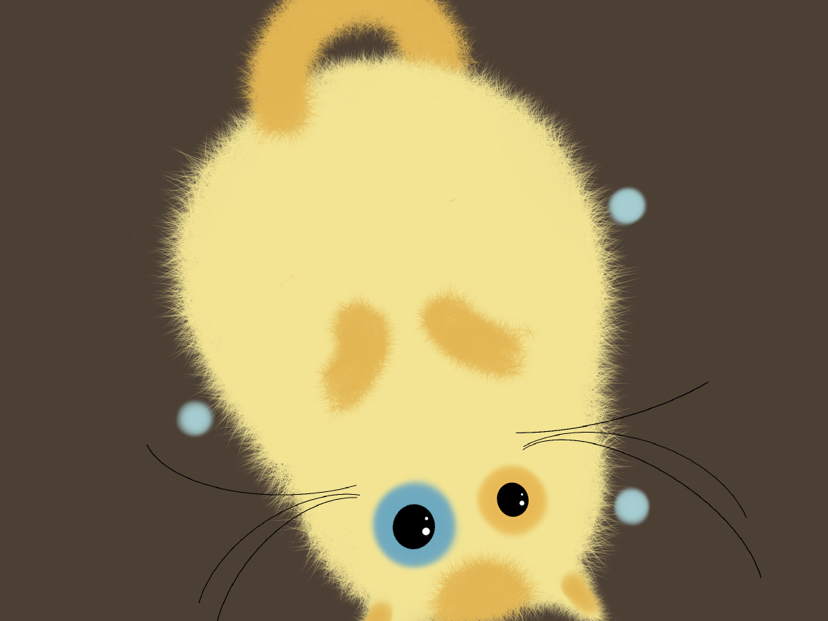 Eggie_Gagaleee-站酷ZCOOL