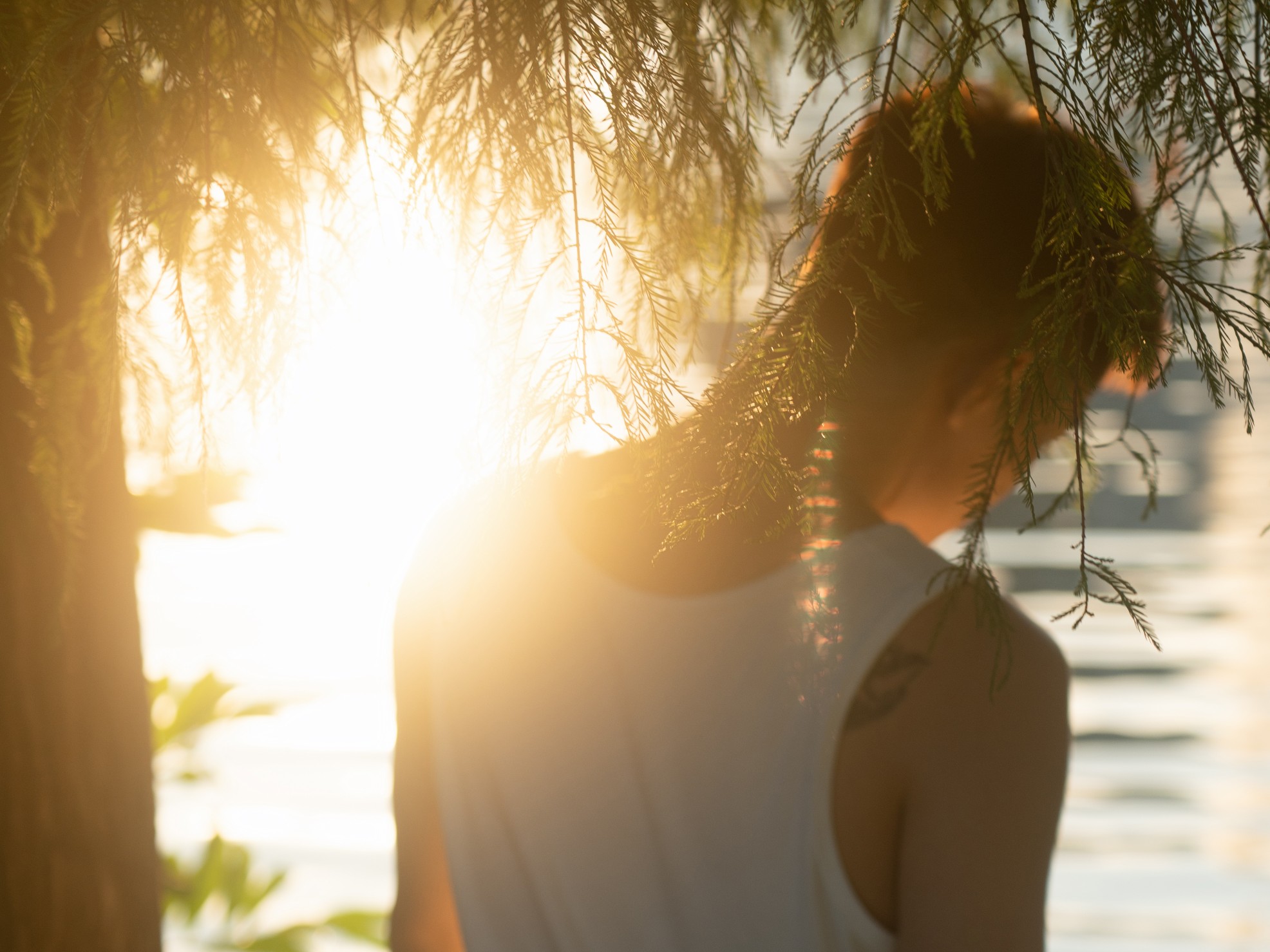 烈日灼心_Binminem-站酷ZCOOL