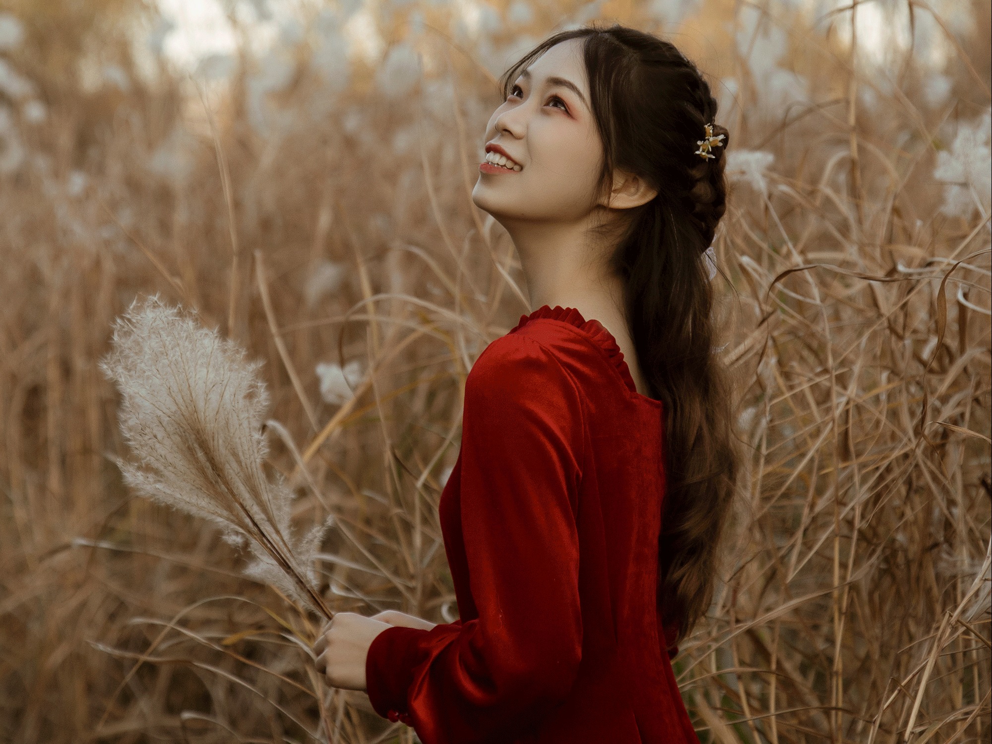 前途与玫瑰，来日与方长（三） _FM白苏-站酷ZCOOL