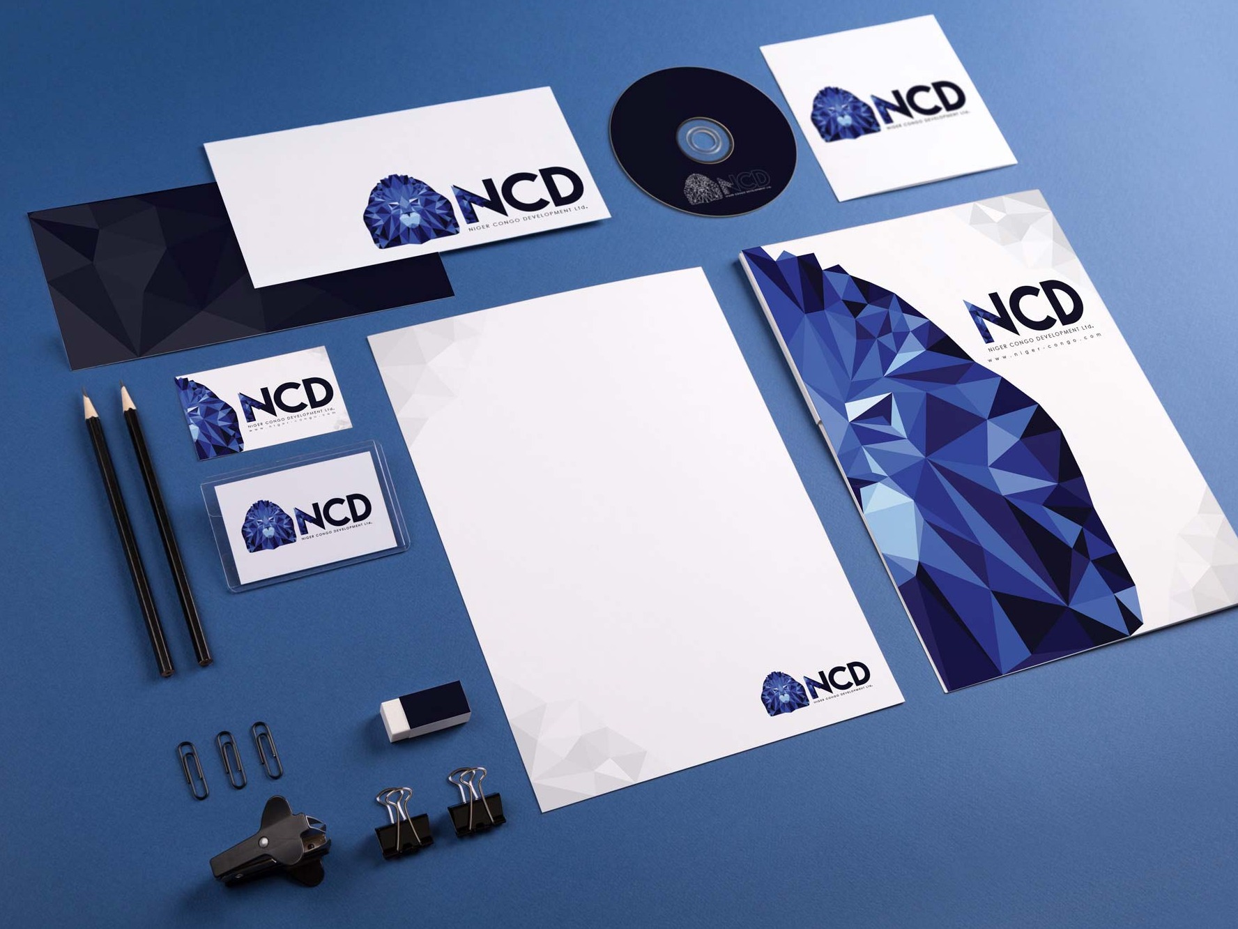 NCD企业VI设计_AMEG市场营销-站酷ZCOOL