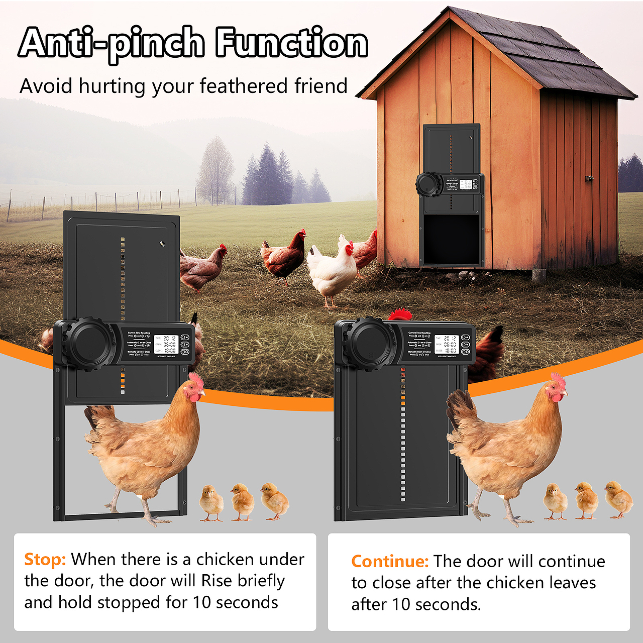 鸡舍门_Daminz-站酷ZCOOL