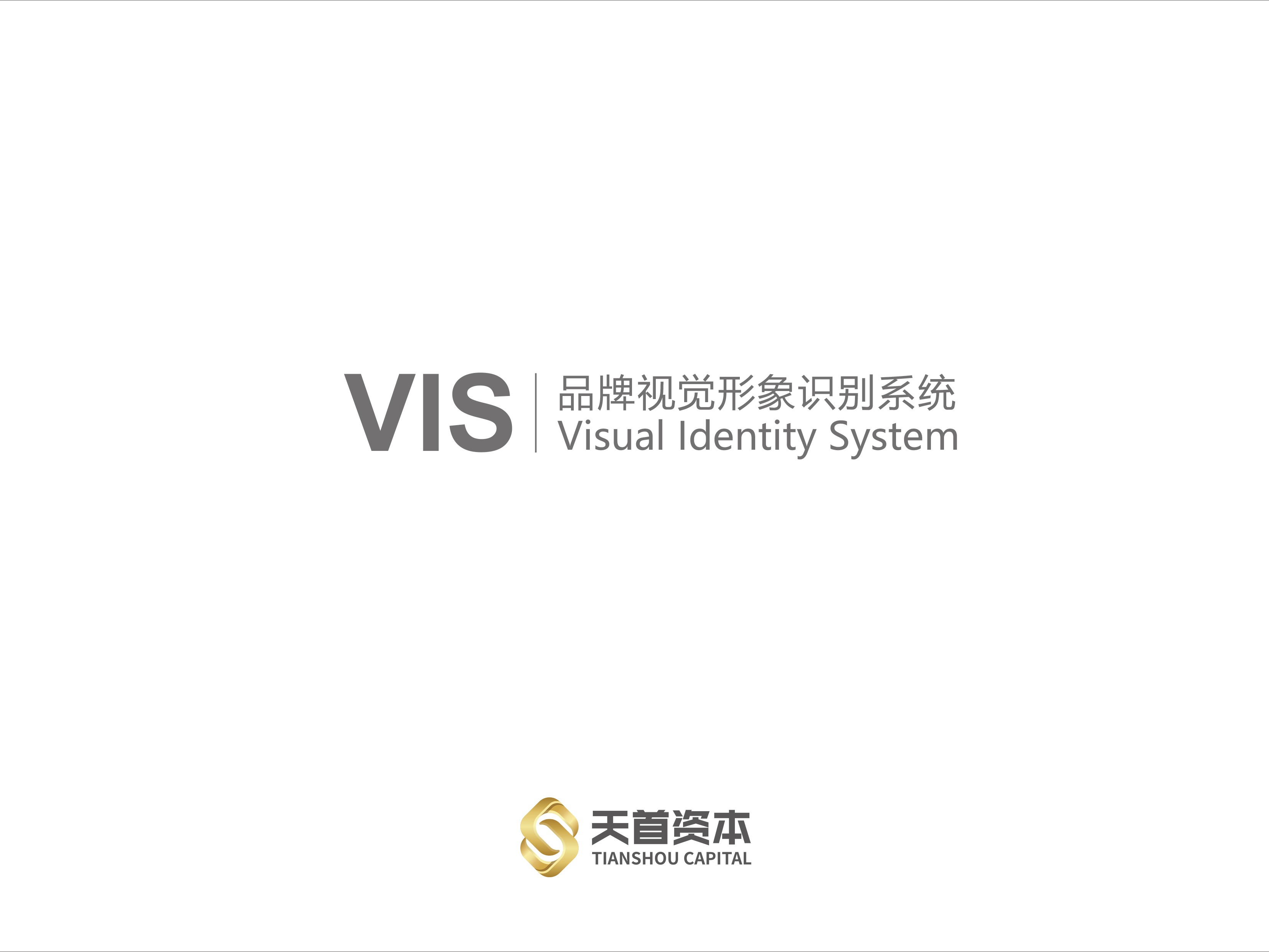 企业VIS设计_Baizy白-站酷ZCOOL