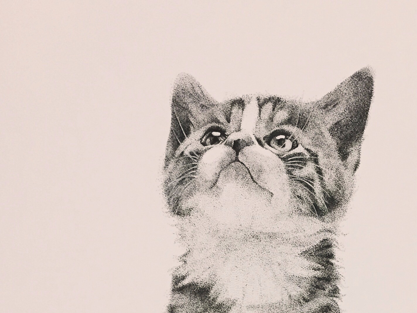 针管笔点绘宠物_姜姜手作-站酷ZCOOL