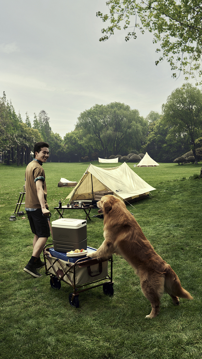 天猫活力营·精致露营生活 _圈叁创意03studio-站酷ZCOOL