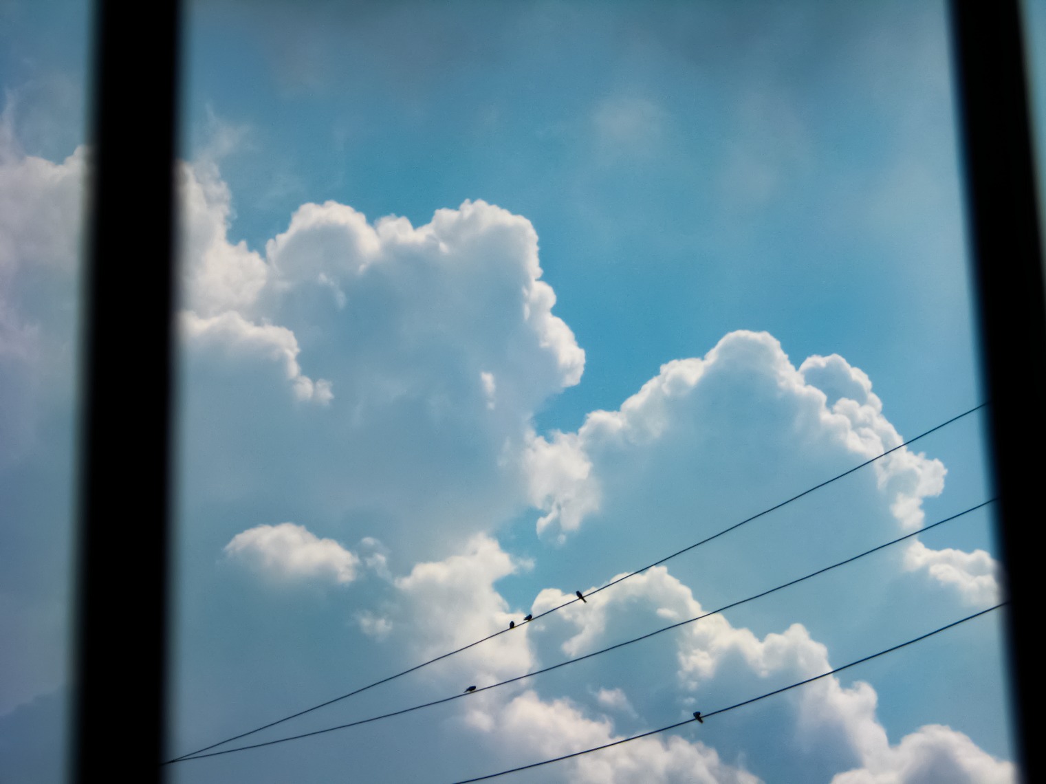 Free_fly6022-站酷ZCOOL