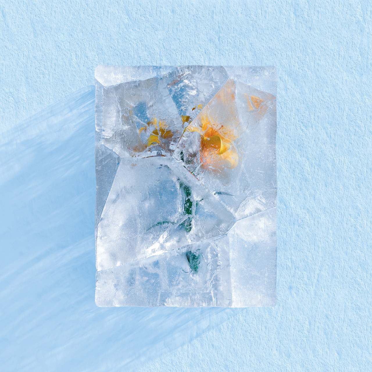 冰冻的花_ElijahX-站酷ZCOOL