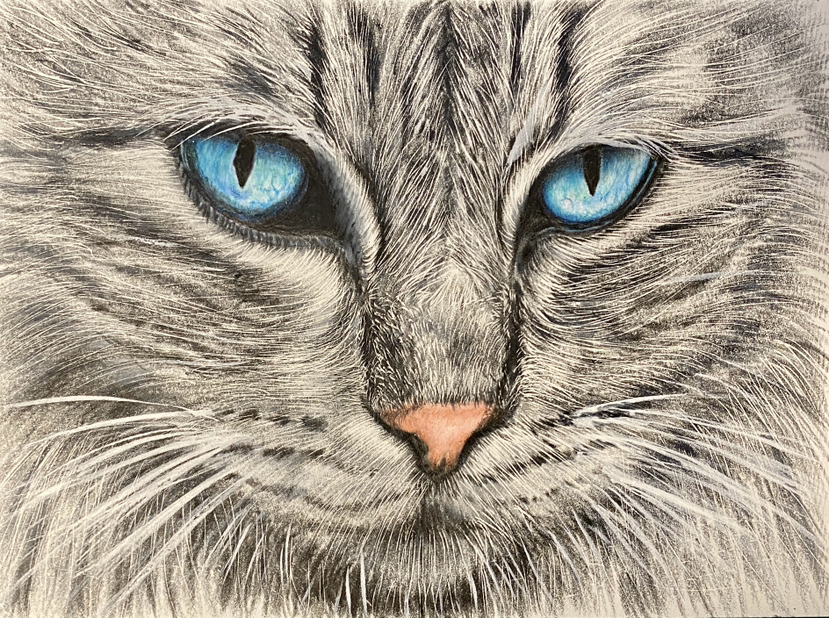 🆒🐱_Aron_C-站酷ZCOOL