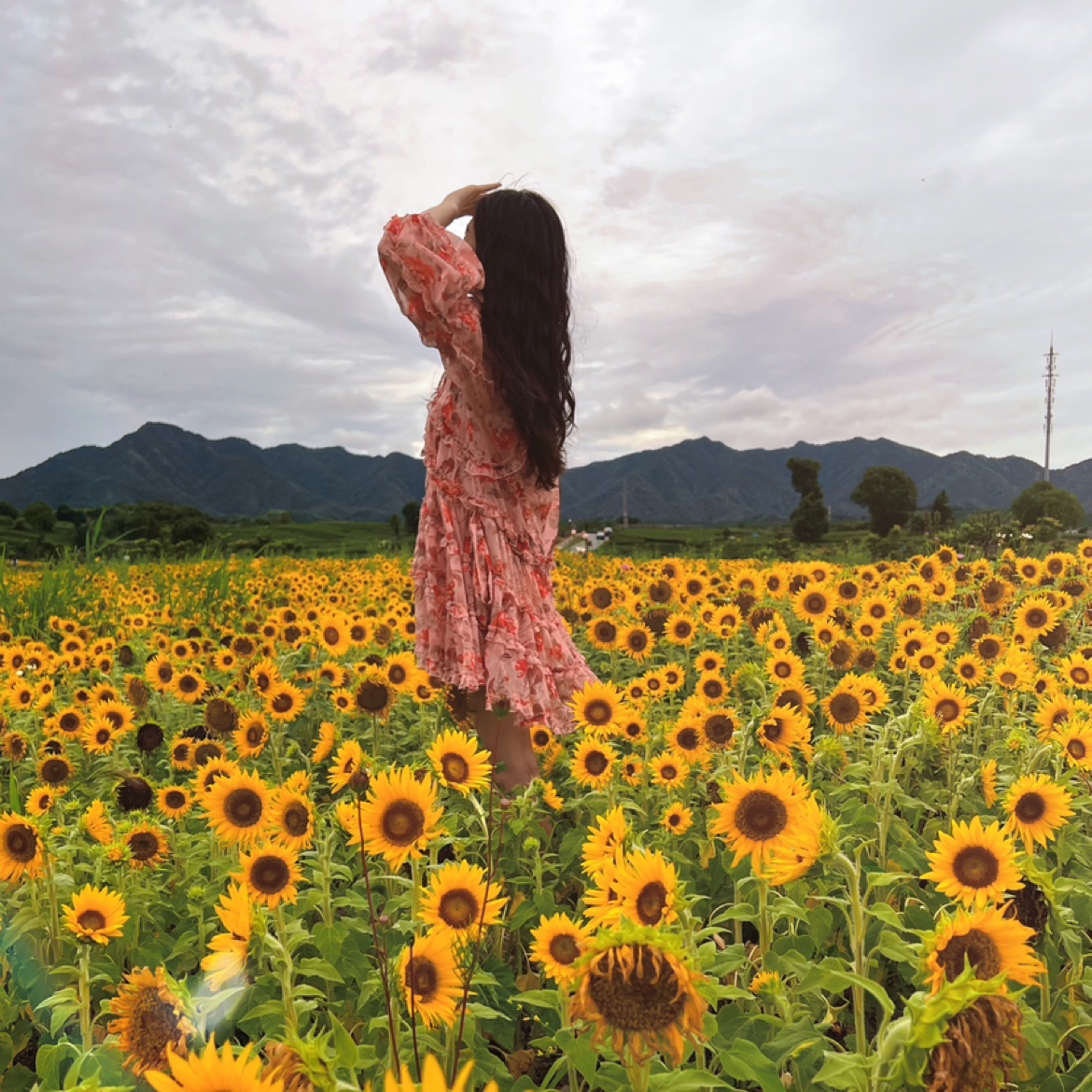 小玫子1225创作者主页_杭州艺术工作者-站酷ZCOOL