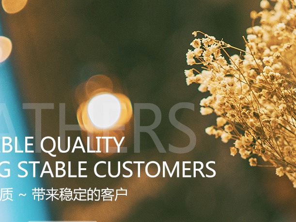 近期作品整合016_MENGXING时分-站酷ZCOOL