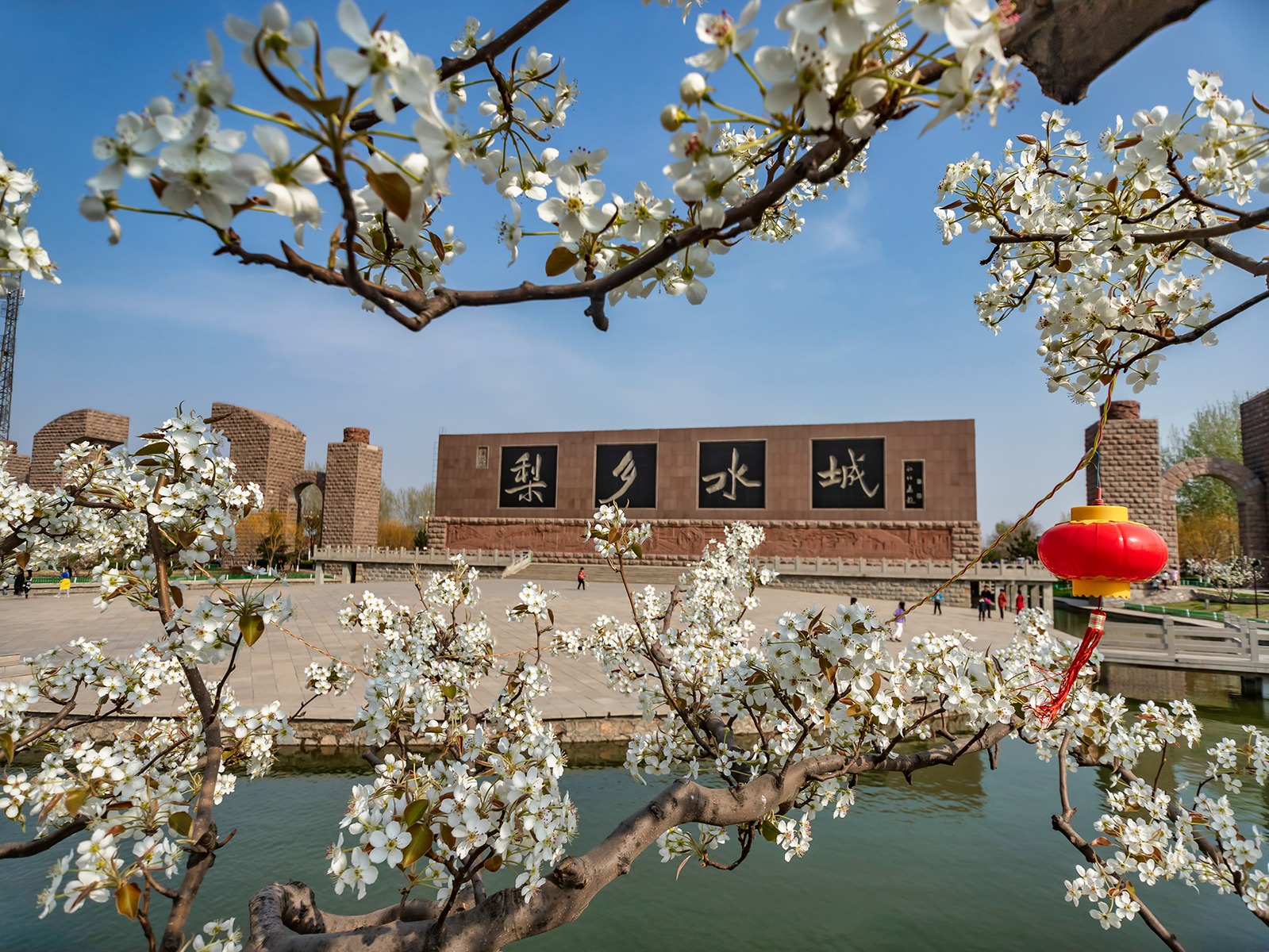 梨乡春潮_pear1103-站酷ZCOOL