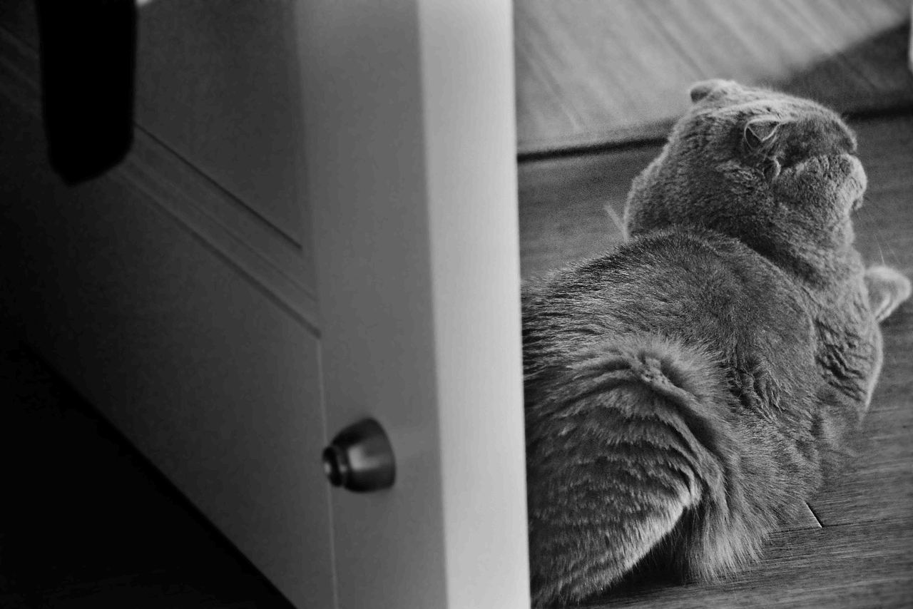 Miss Yu, on Sunday . S1E1_Justin_and_YDD-站酷ZCOOL