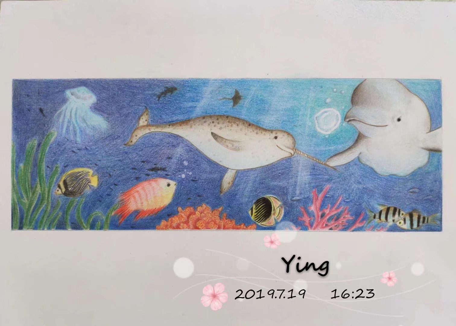 神秘的海洋世界_凤兮ing-站酷ZCOOL