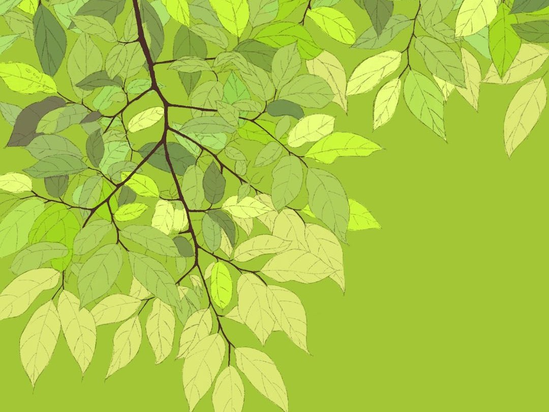 插画_潦草的叶子-站酷ZCOOL