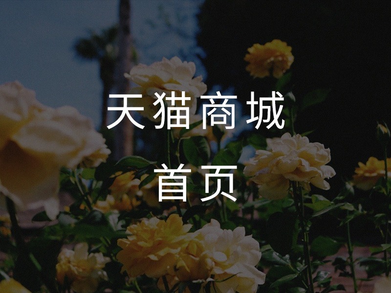 2021在卡姿兰_CCCCC豆-站酷ZCOOL