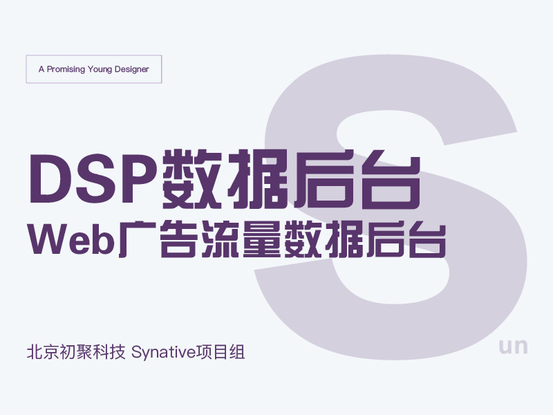 DSP广告数据后台_飞翔的大雪-站酷ZCOOL