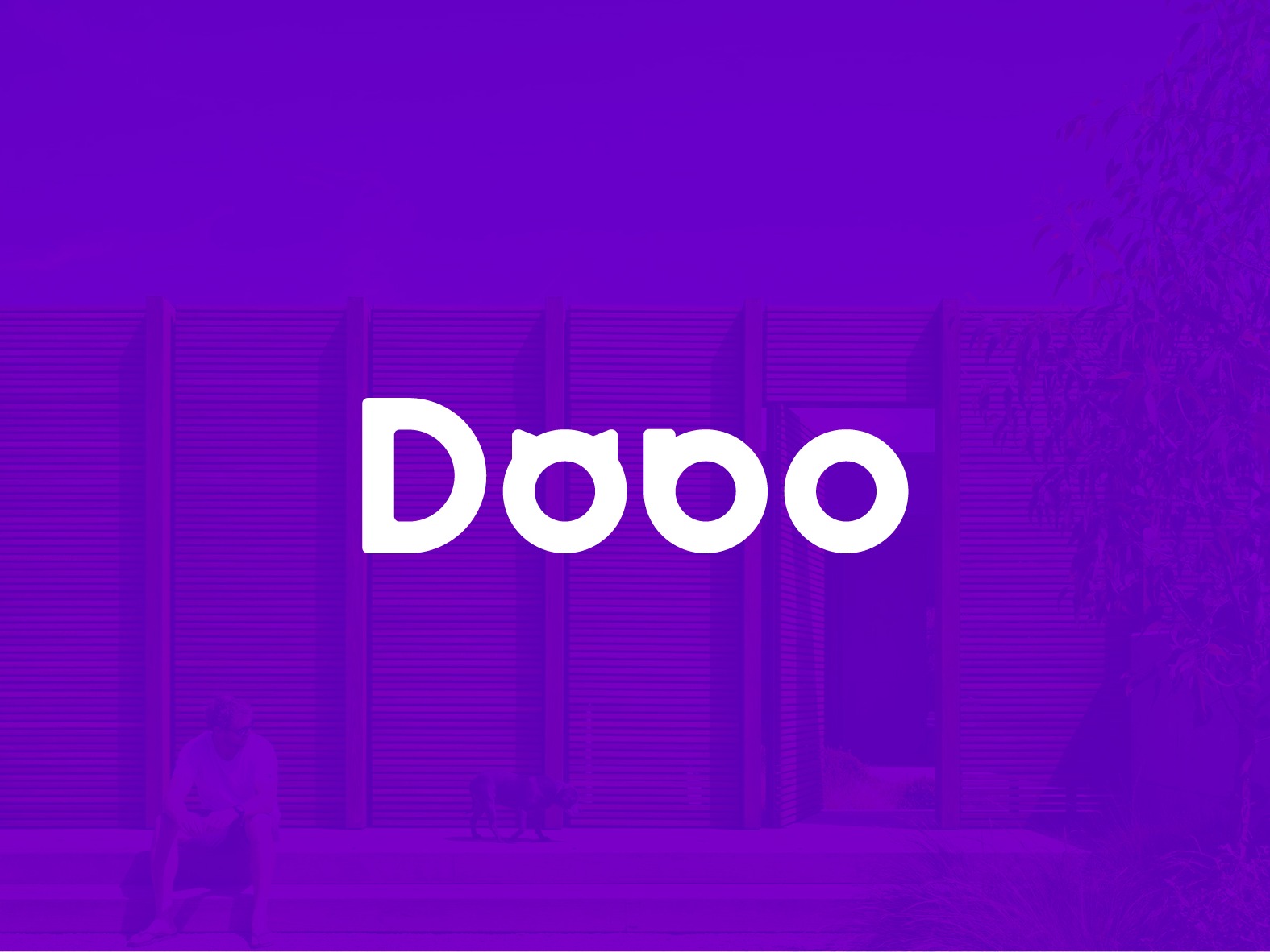 DOBO | 宠物店_玩球计划Zod-站酷ZCOOL