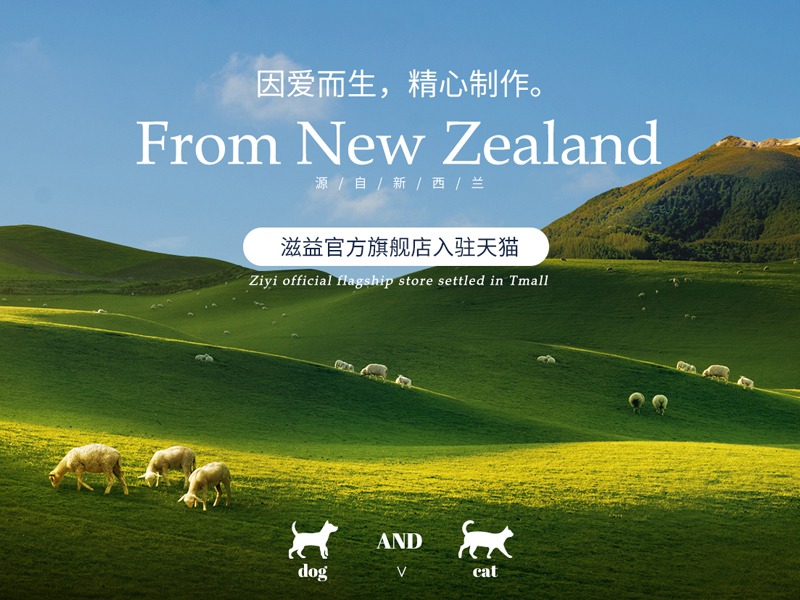 ziwi品牌视觉_王雨栀-站酷ZCOOL