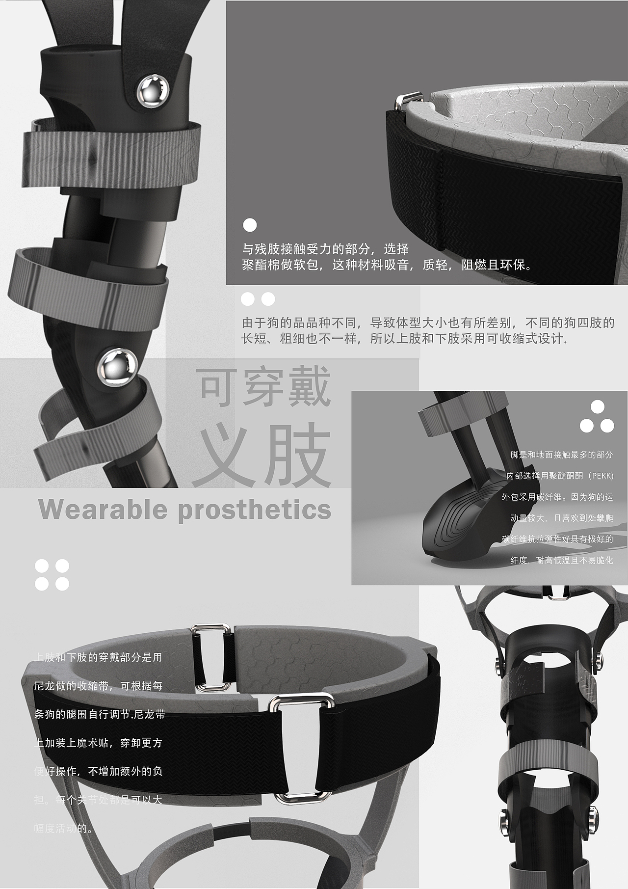 宠物义肢_美术生Hedy-站酷ZCOOL