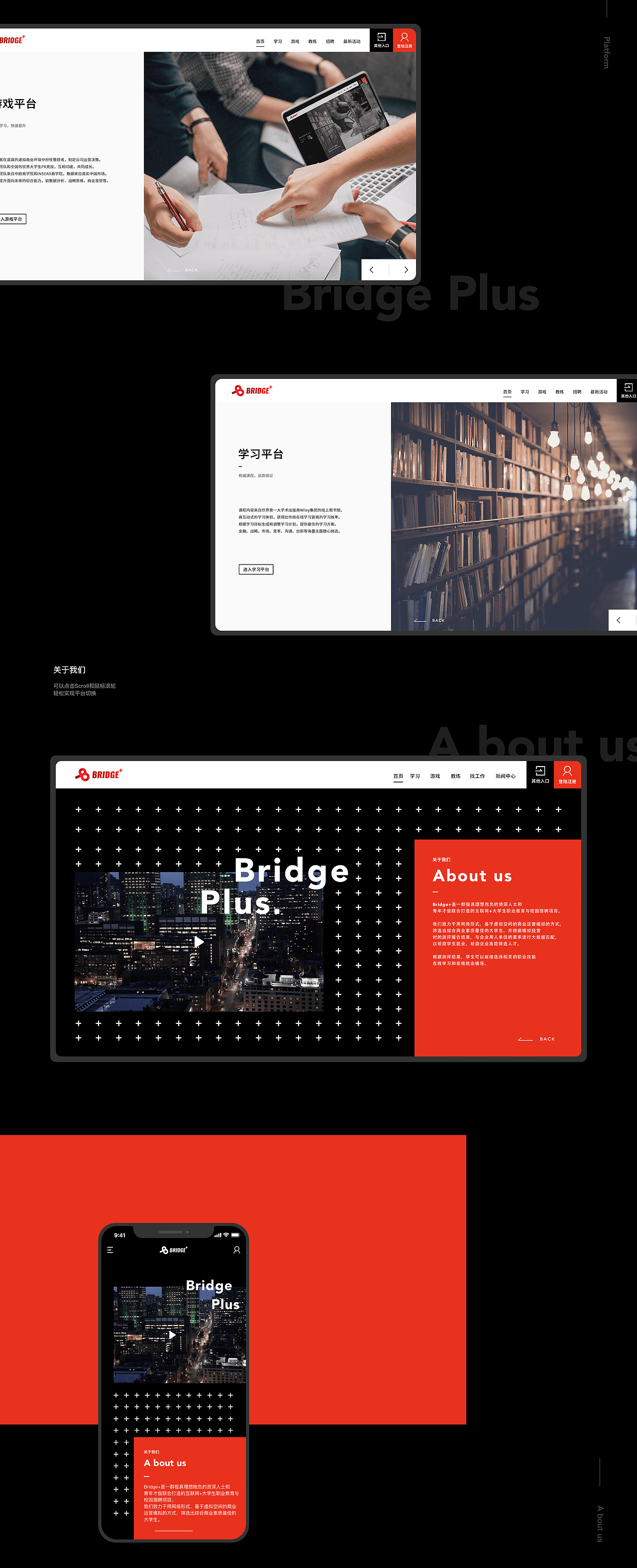 Bridge Plus 官网_Arey阿睿-站酷ZCOOL