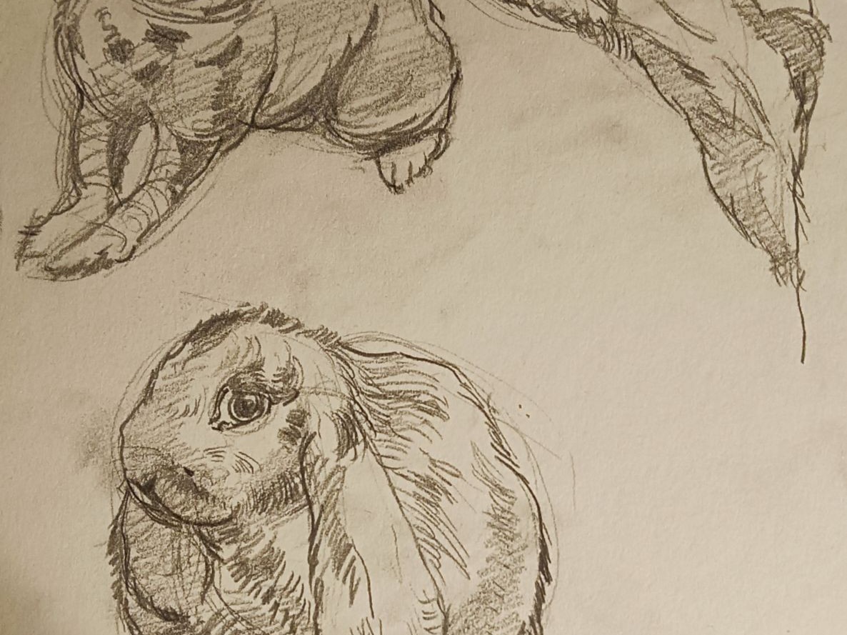 速写029_jsuiz蓿-站酷ZCOOL