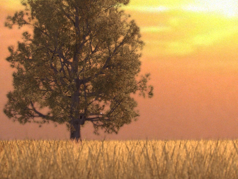 稻田_Cg_Ryan-站酷ZCOOL