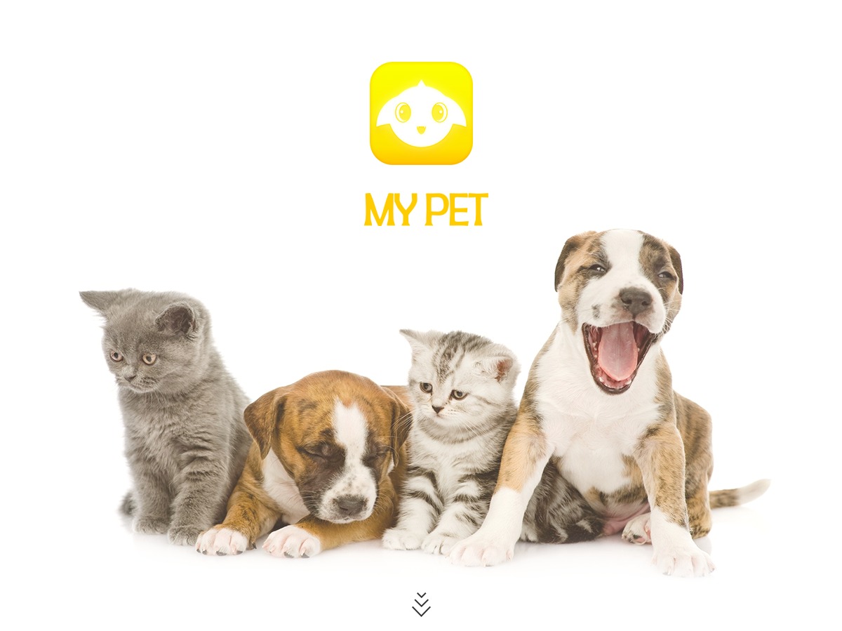 MY PET宠物APP寄养领养爱心公益飞禽走兽猫猫狗狗_喻森森-站酷ZCOOL