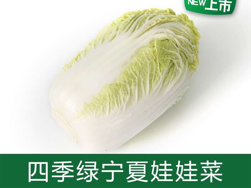 宁夏蔬菜_峰恋-站酷ZCOOL