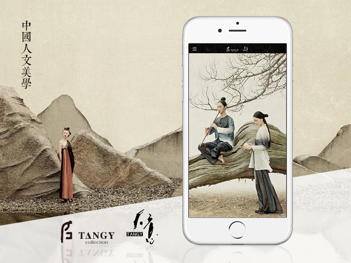 雨飞作品-TANGY天意官网设计,互联网品牌形象设计_雨飞设计-站酷ZCOOL