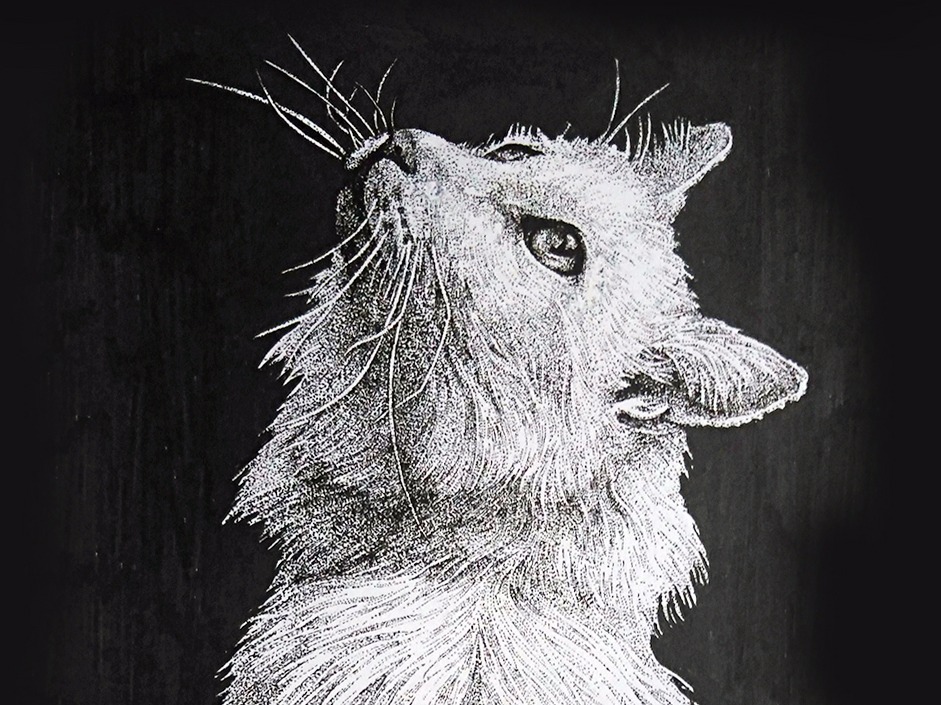 《仰望》点绘！_设绘哥seven-站酷ZCOOL