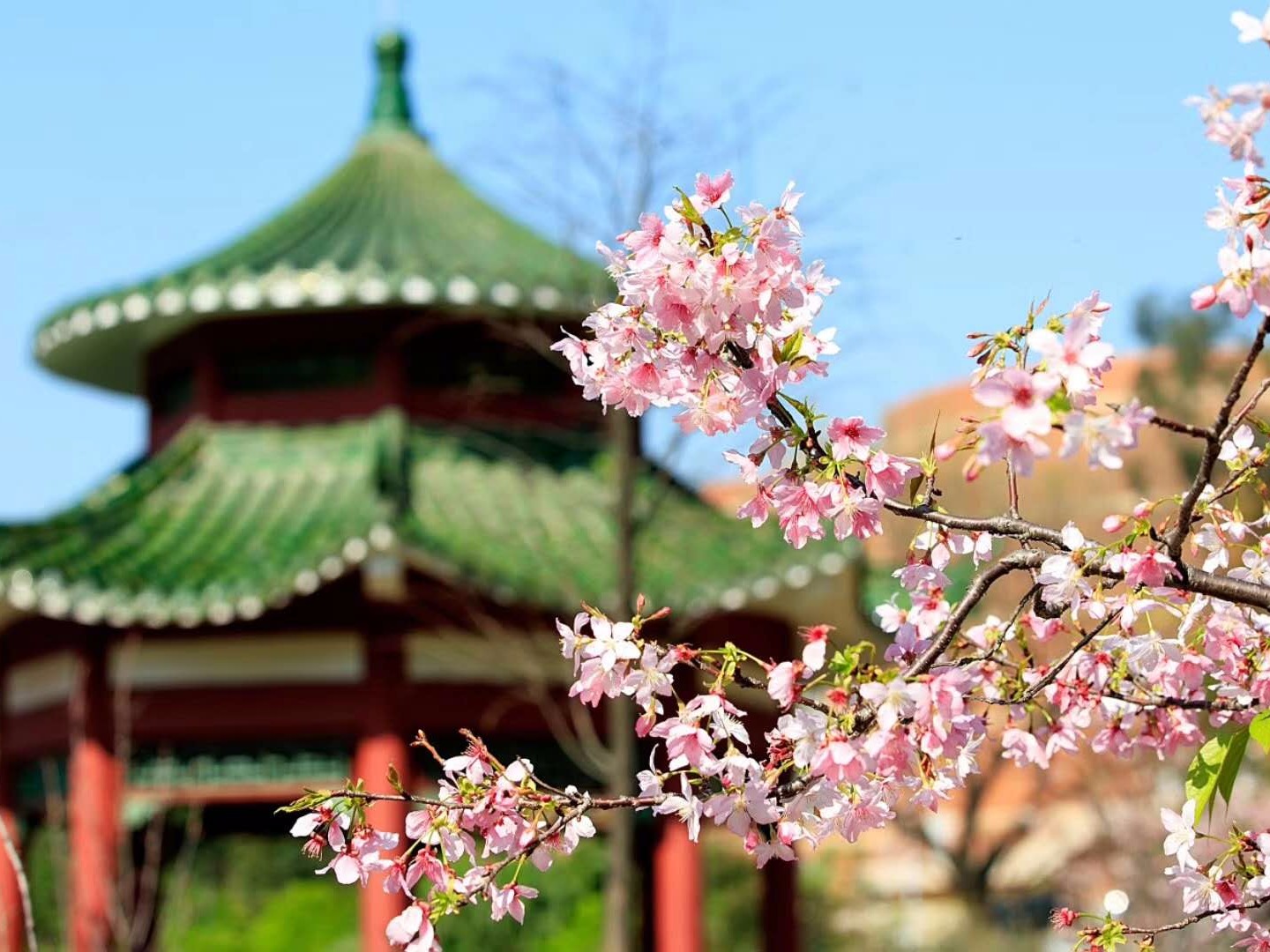 个人作品_陈生Linda泽-站酷ZCOOL