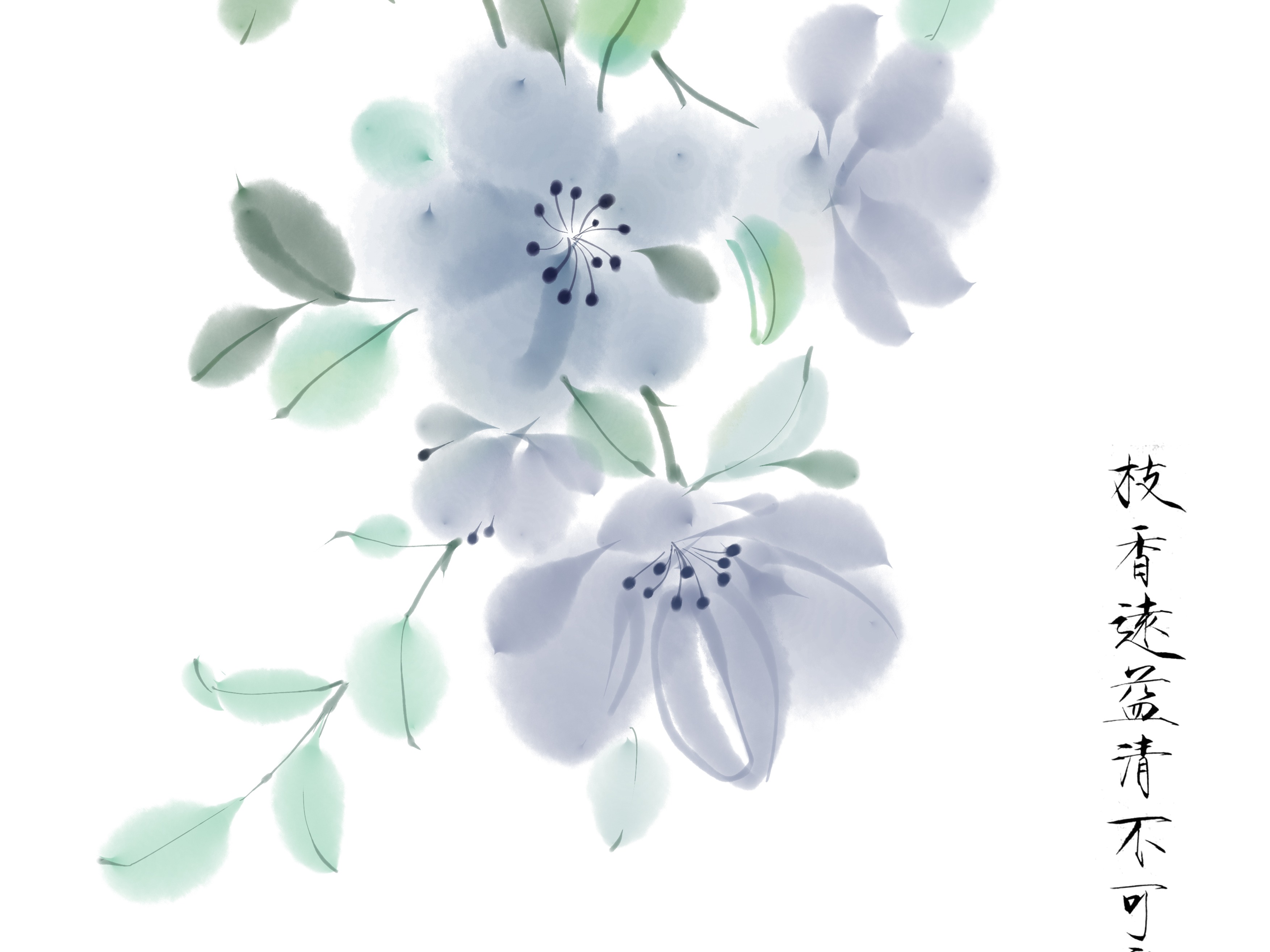 SAI水彩花卉练习1_pandong0575-站酷ZCOOL