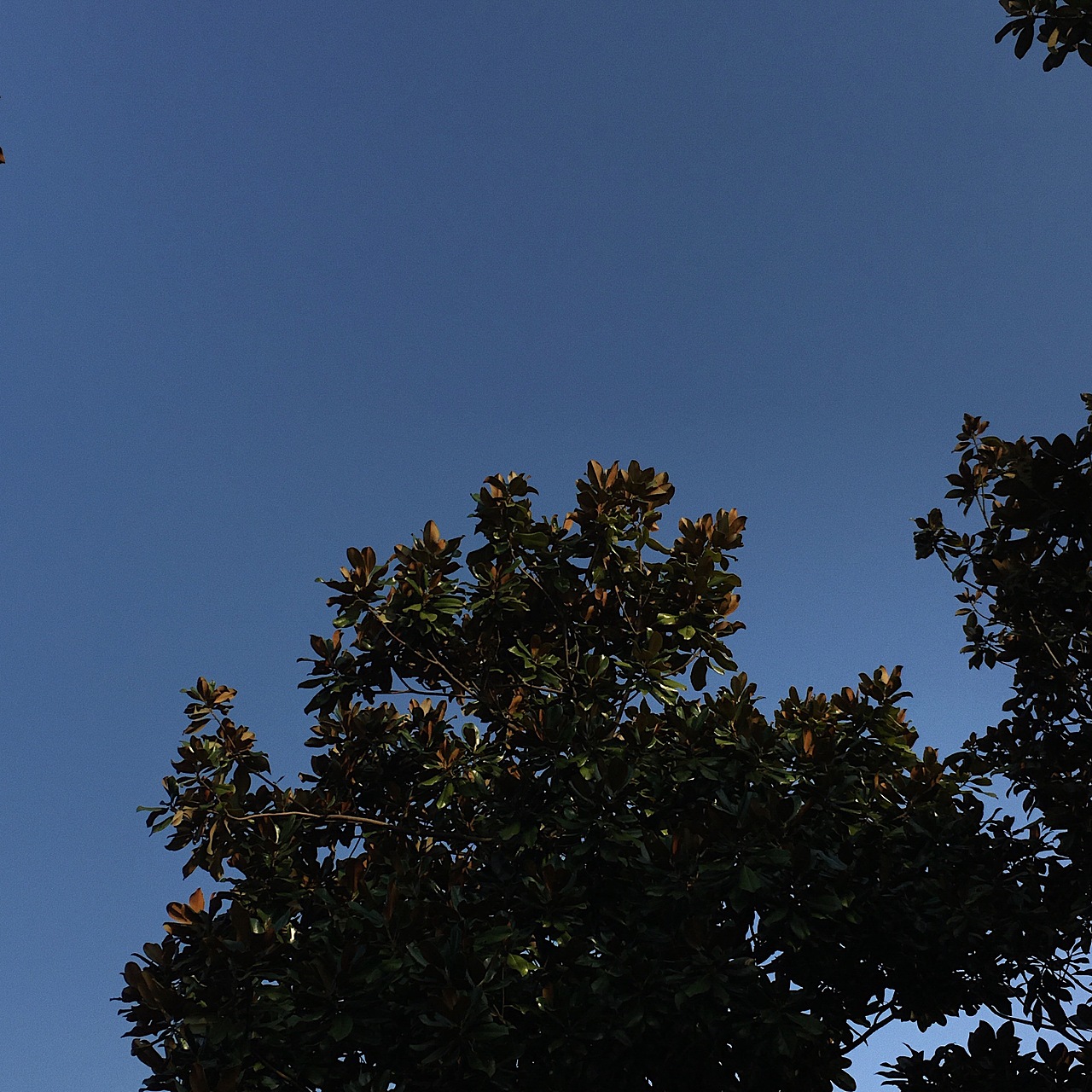 Blue_KG空港-站酷ZCOOL