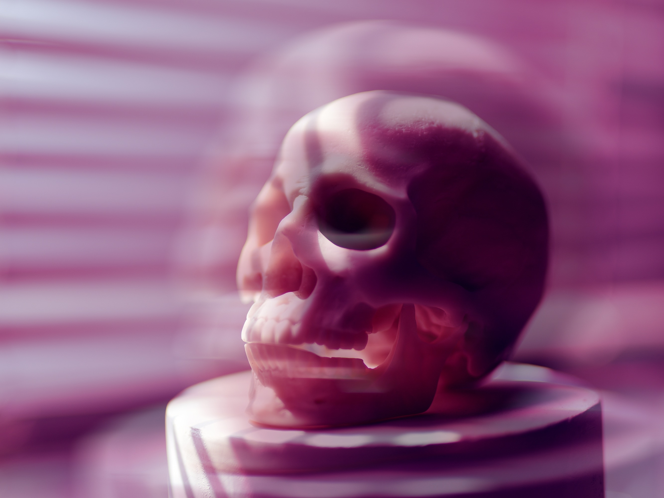 梦_FLORET_WANG-站酷ZCOOL