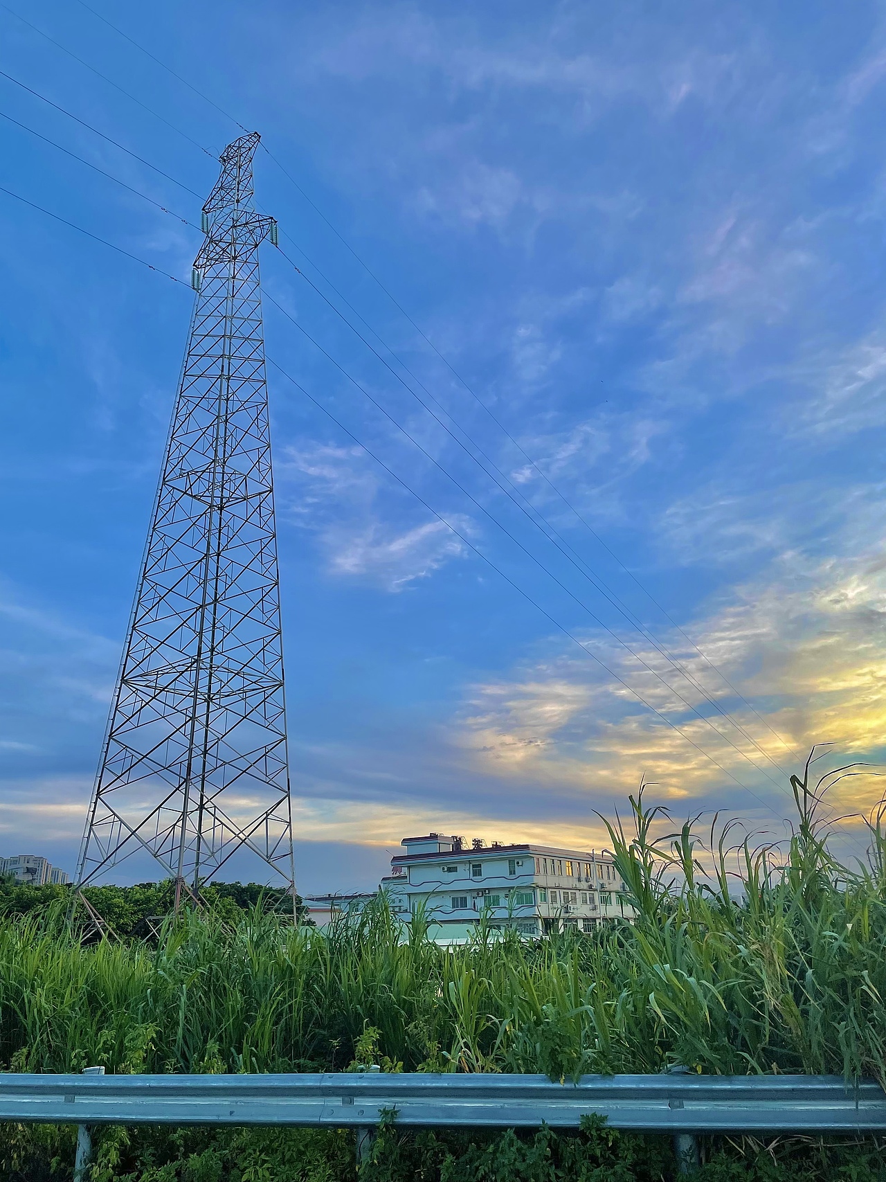 跑了好远就为了看日落[billd转圈]_52Hertz赫兹-站酷ZCOOL