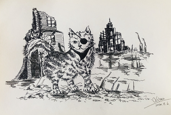 战地猫_Quokka3-站酷ZCOOL