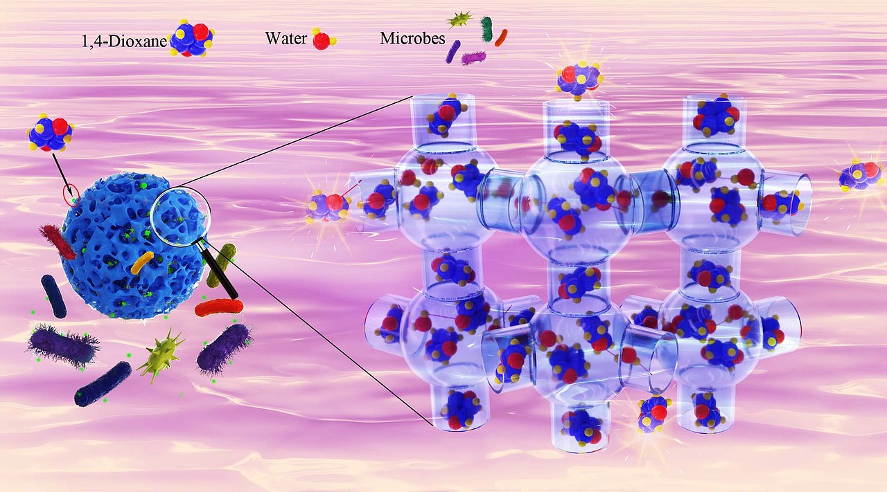 Rise_scihua-站酷ZCOOL