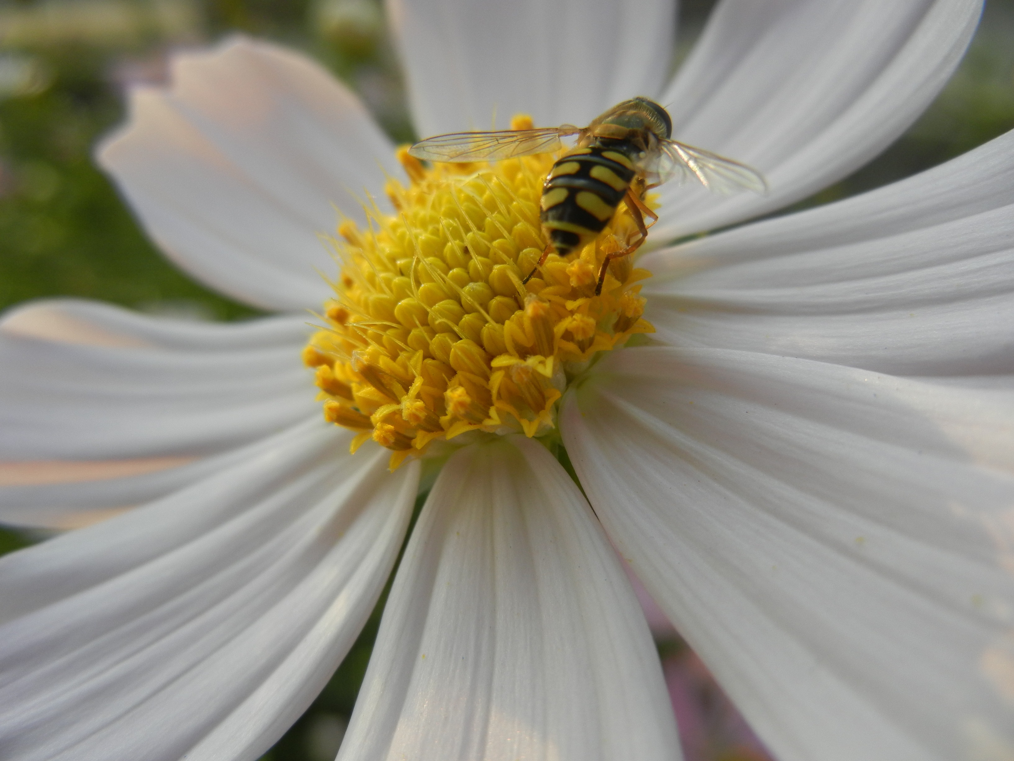 切切切_LCG00-站酷ZCOOL