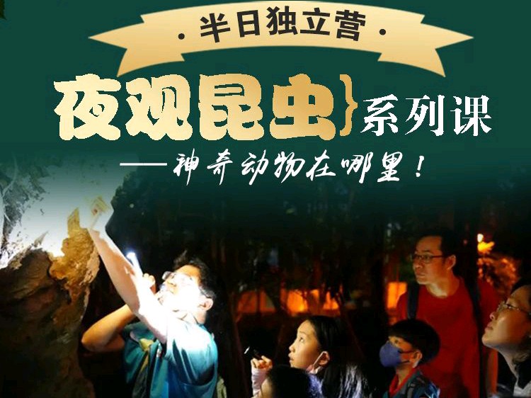 夜观昆虫原创海报_贤919-站酷ZCOOL