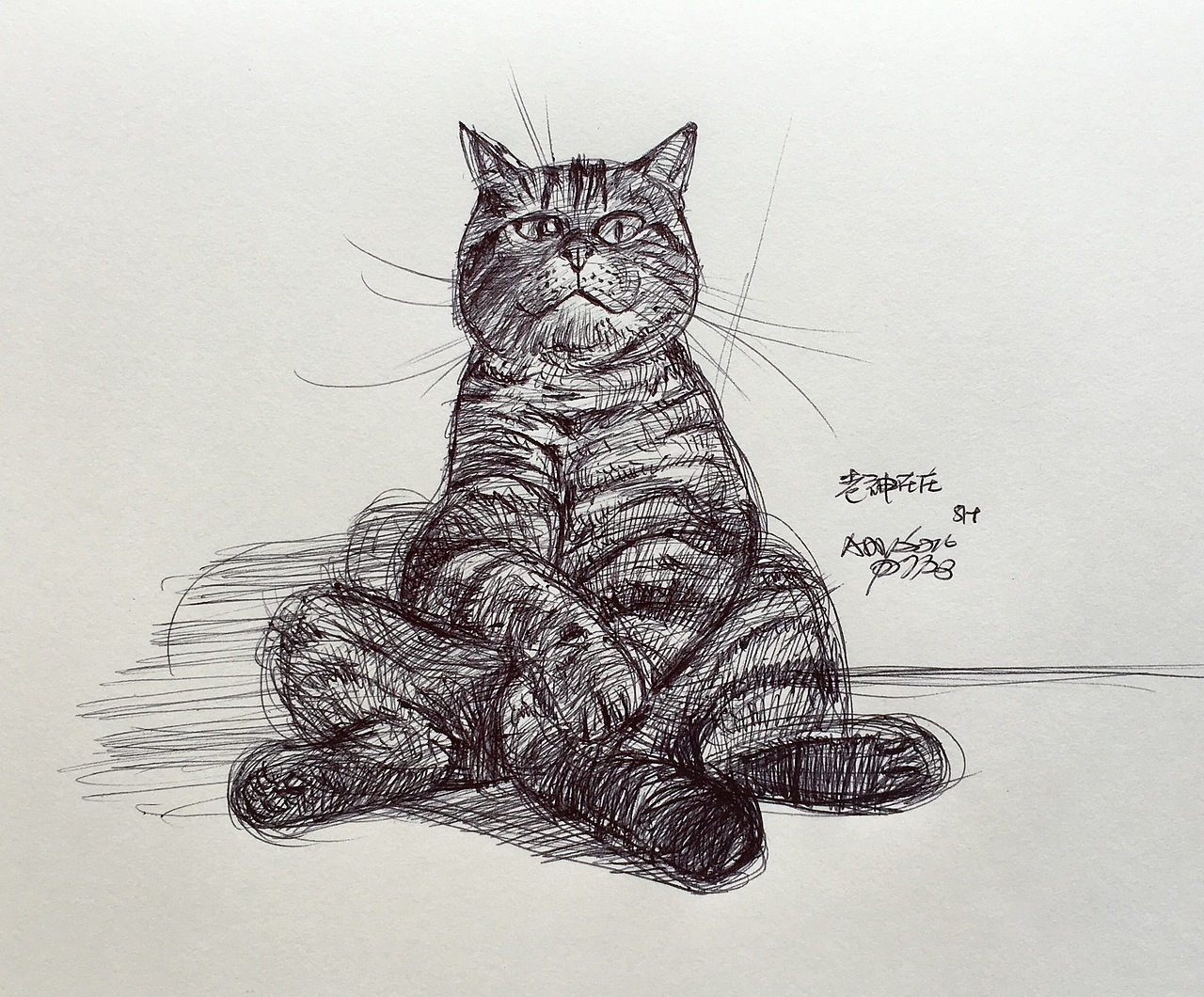 【老神在在】_addysoho-站酷ZCOOL