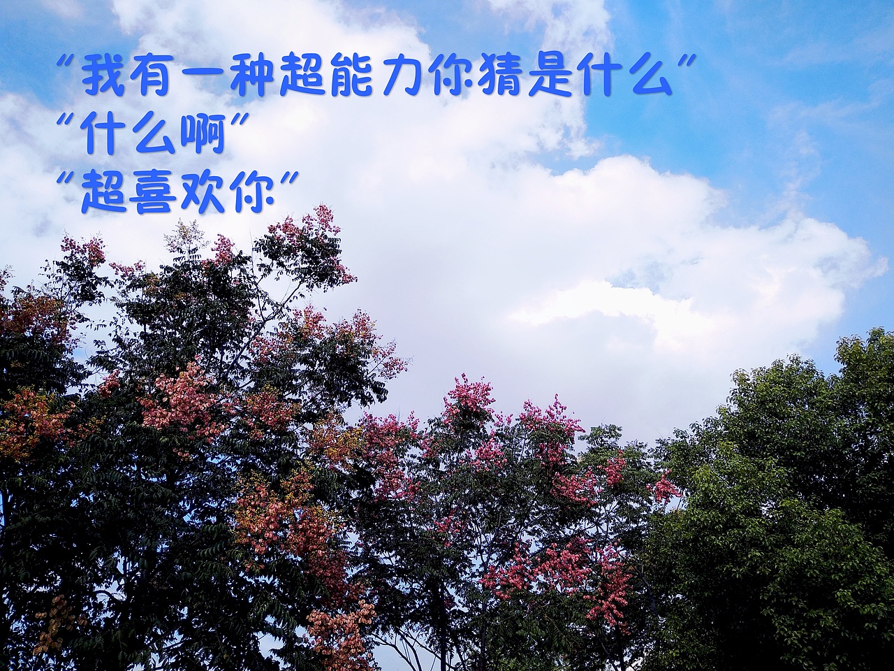 献给行为古怪的人、复杂的事物，以及人性之美。_爱设计的Alex-站酷ZCOOL