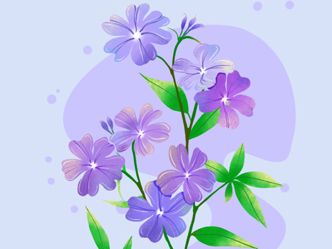 蓝雪花_hope眰恦-站酷ZCOOL