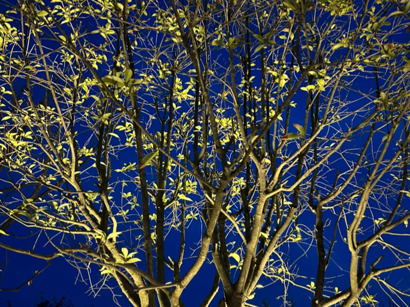 四月傍晚_Z800097007-站酷ZCOOL