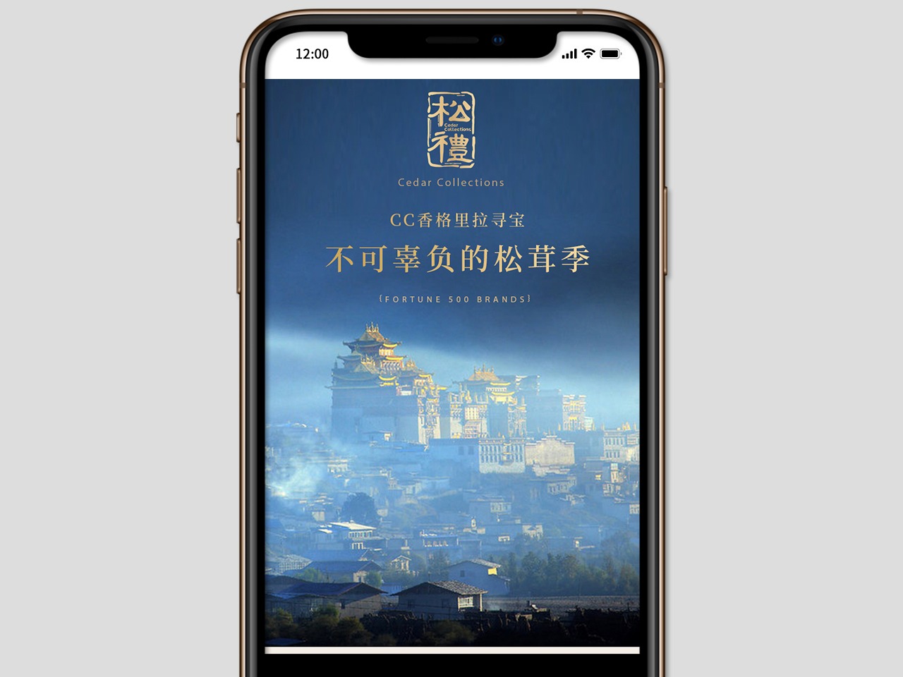 松茸X详情_Mia酱子-站酷ZCOOL