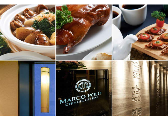 富临门MARCO POLO_shuli_sila-站酷ZCOOL