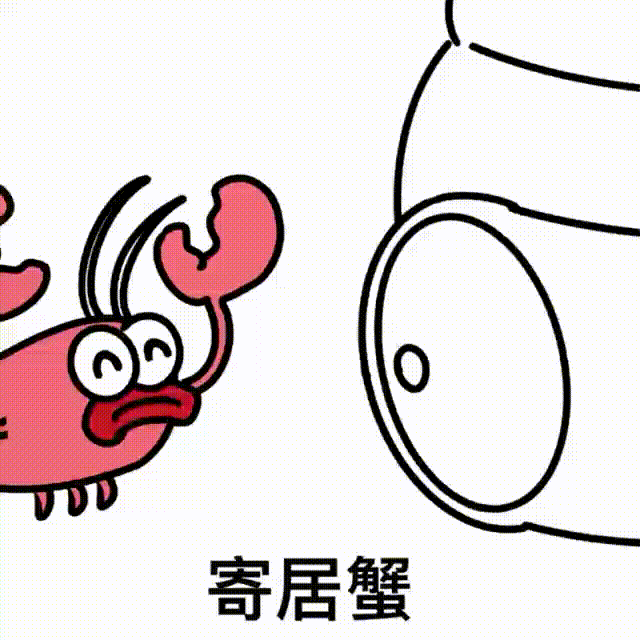 淘宝双十二动画｜龙年爆笑搞怪动画-出道篇（四）_天梦星空-站酷ZCOOL